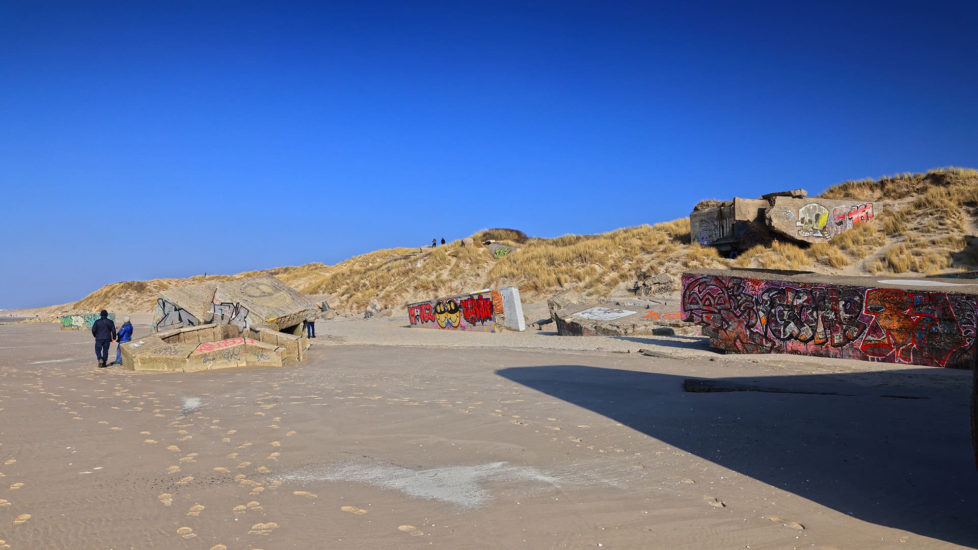 Poppies (Papaver) on Flemish Fields - Top.Flanders - The top of what ...